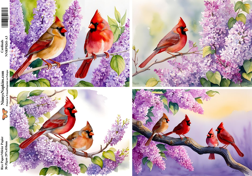 Decoupage Rice Papers – Page 32 – Ninnys Napkins